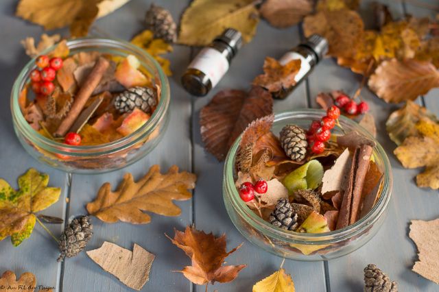 Pot pourri parfumé - 5 senteurs exceptionnelles pour parfumer son intérieur