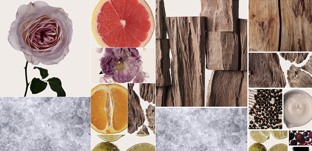 THE ALCHEMIST ATELIER - OSMOZ