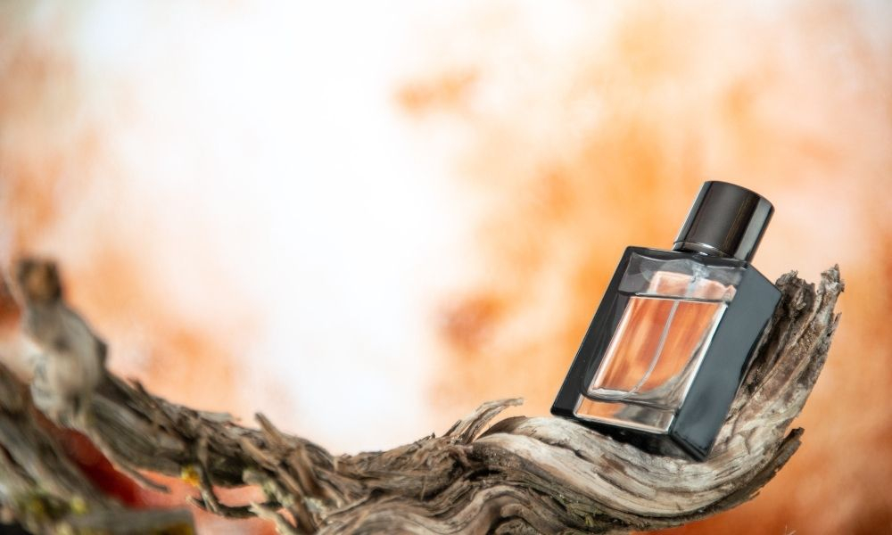 Parfum automne - 10 odeurs réconfortantes à l'approche de l'hiver