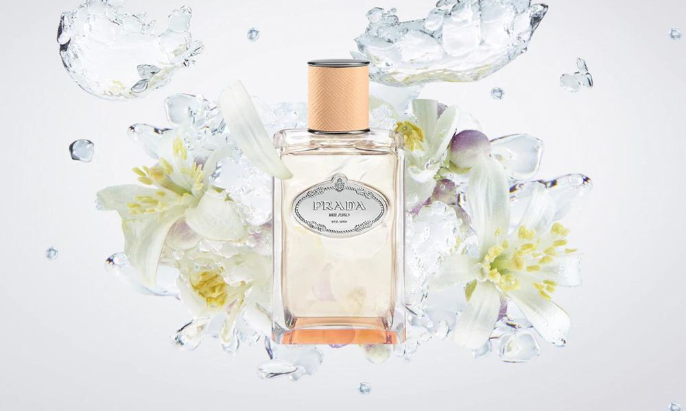 Parfum fleur d'oranger - 10 senteurs incontournables à porter